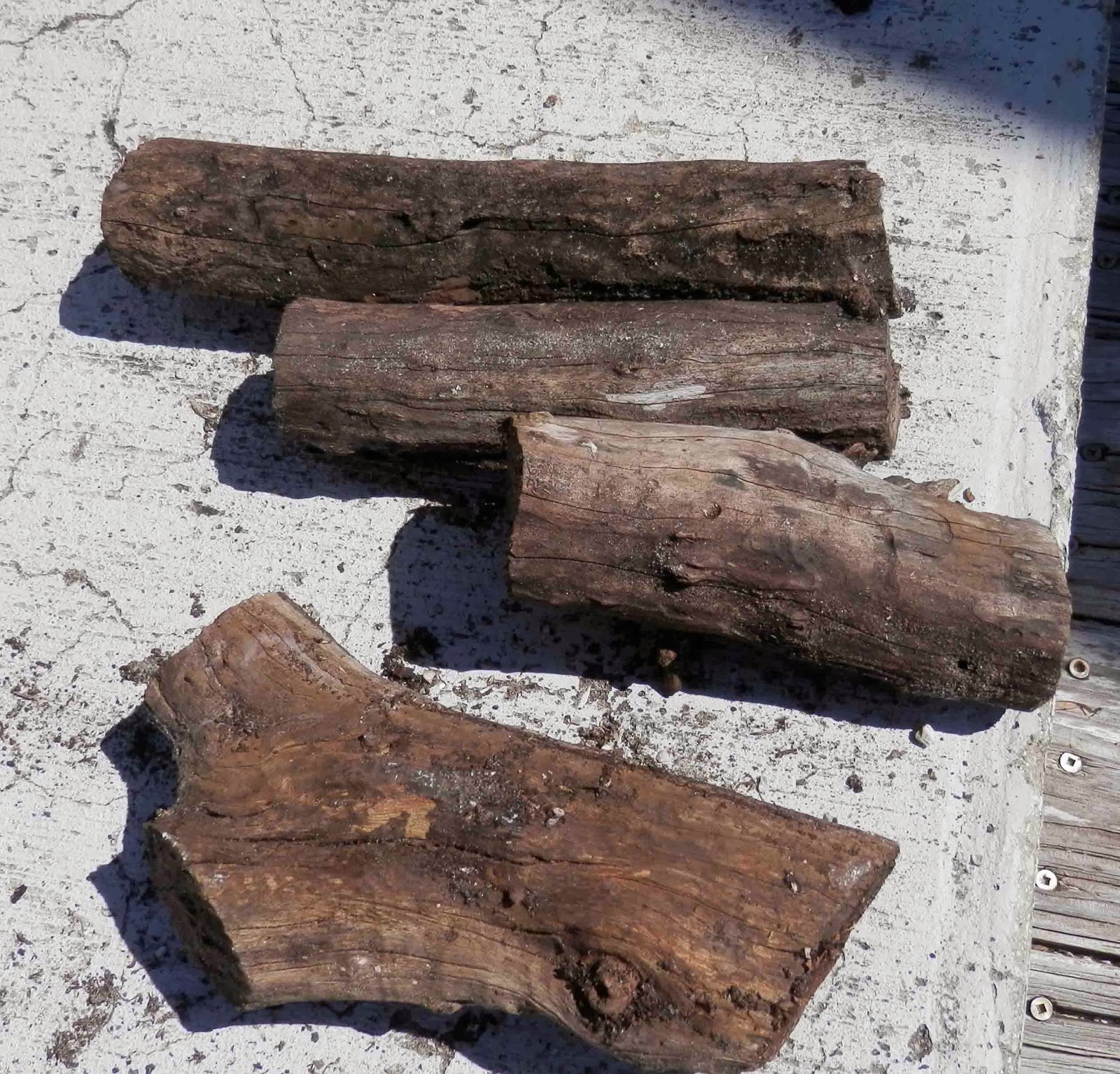 C & G : Smoked mullet: The PERFECT smoking wood for your home caught ...