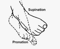 Gerakan ROM Beserta Gambarnya - Catatan Perawat