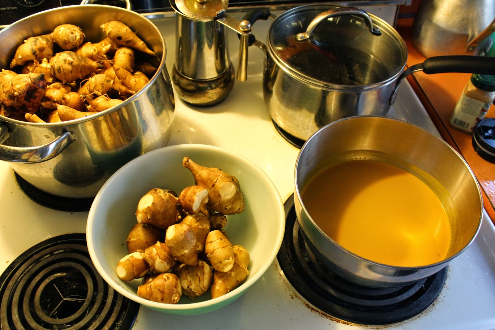 Anubis Bard: Pickling Sunchokes