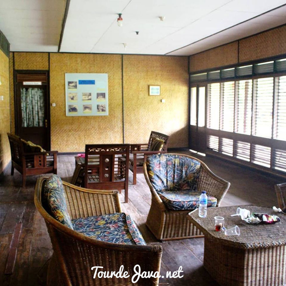 Flora dan Fauna, Resort dan Penginapan di Pulau Peucang, Ujung Kulon ...