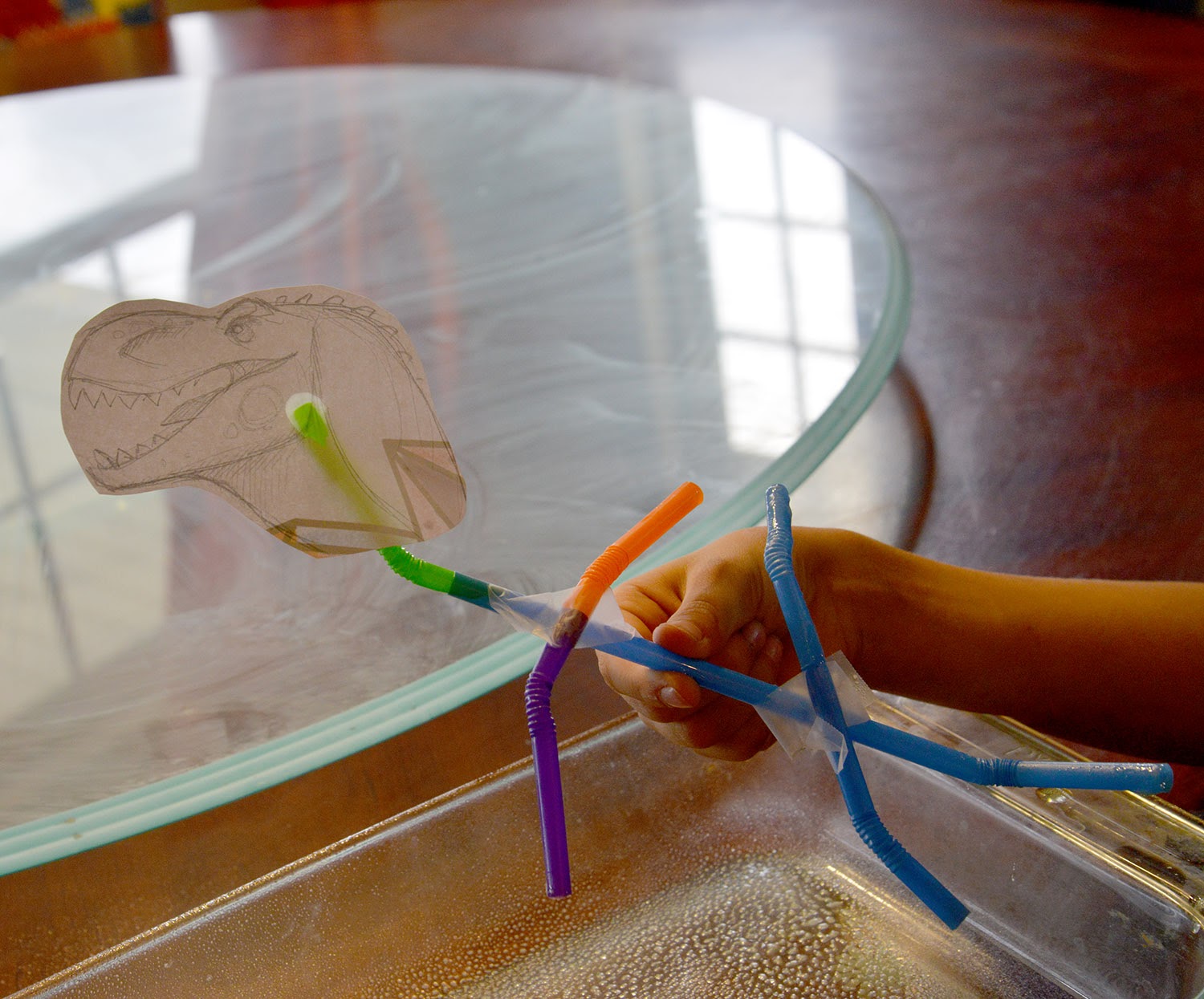 Petrified Or Permineralized Fossils