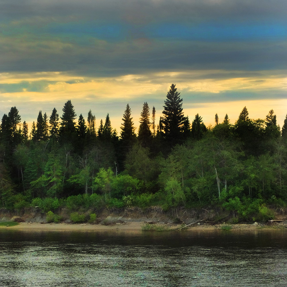 some old pictures I took: North