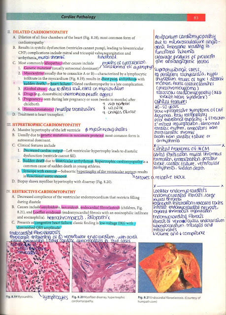 The Complete Guide on How to Study Pathology in Med School