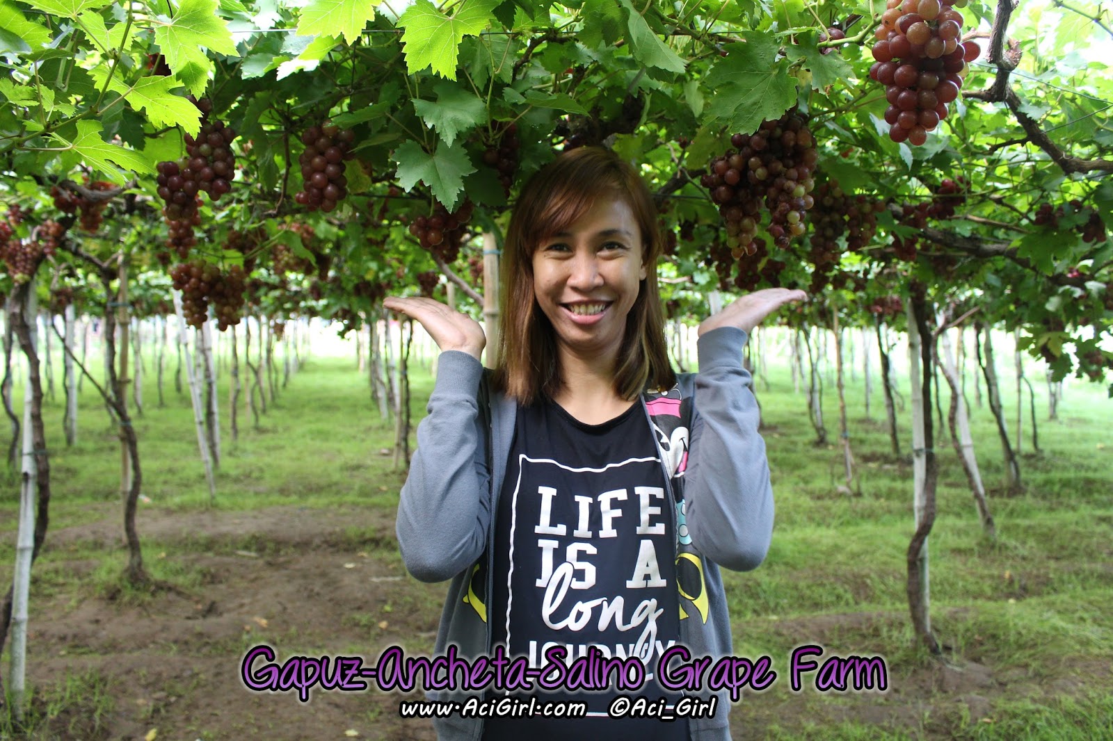 Gapuz Grapes Farm