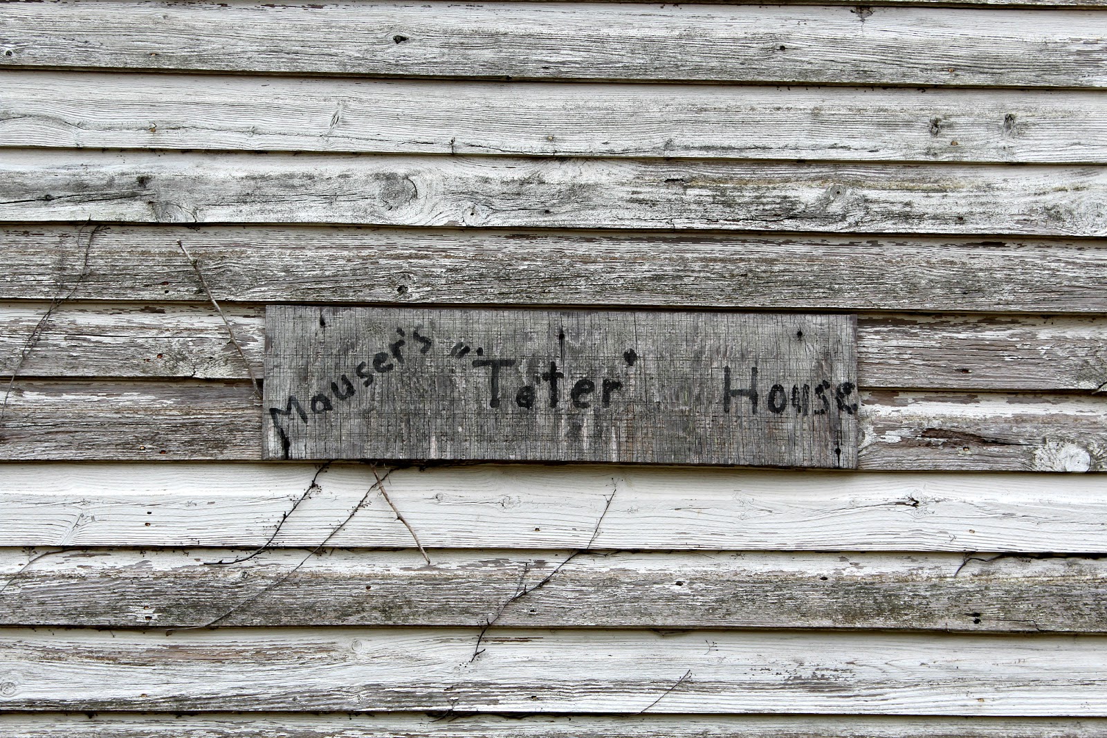 Around Roanoke, VA (A Daily Photo Blog)