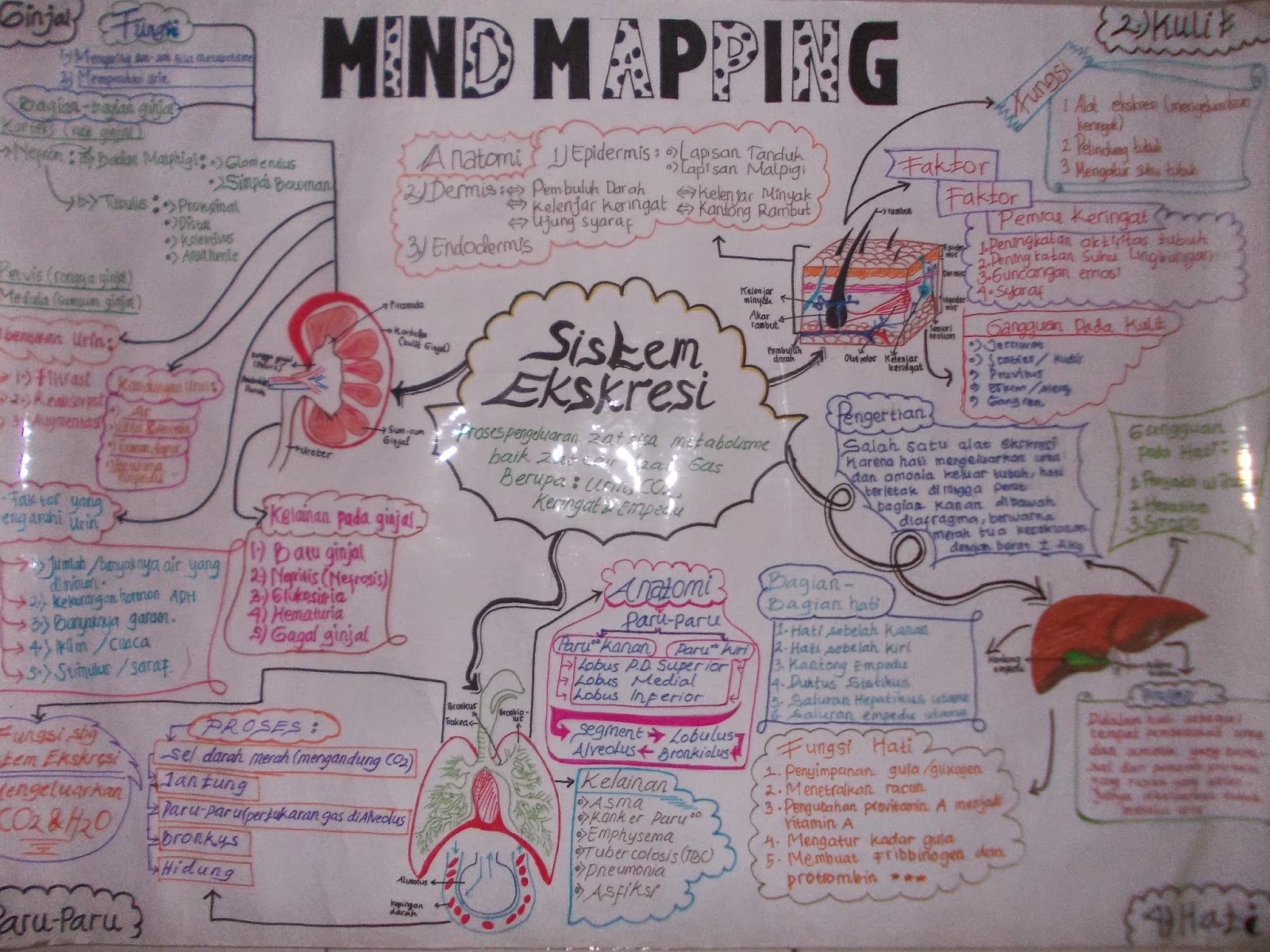 BERBAGI UNTUK KEBAIKAN........: KREASI MIND MAPPING SISWA SMP N 1 ...
