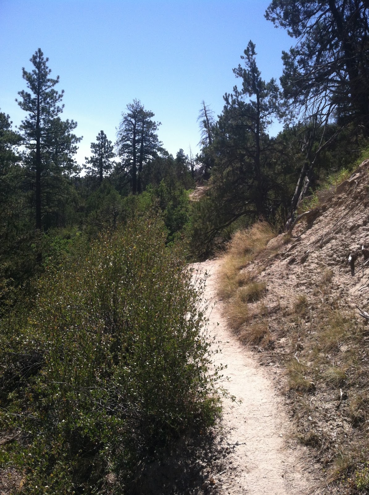 Myatt's Hikes: Sheep Creek and Swamp Canyon Connector Trail Loop, Bryce ...