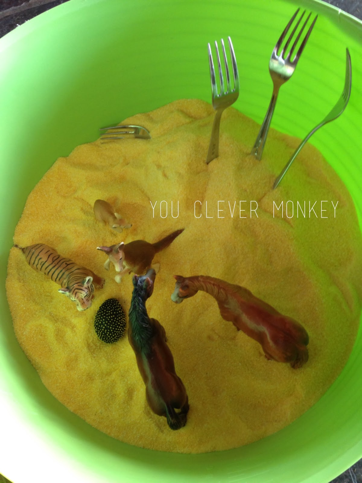 SENSORY WAY (HER WAY) | you clever monkey