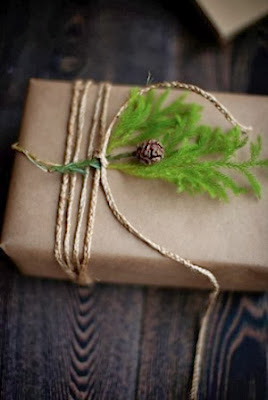 StylishBeachHome.com: Nature Inspired Christmas Wrapping Ideas