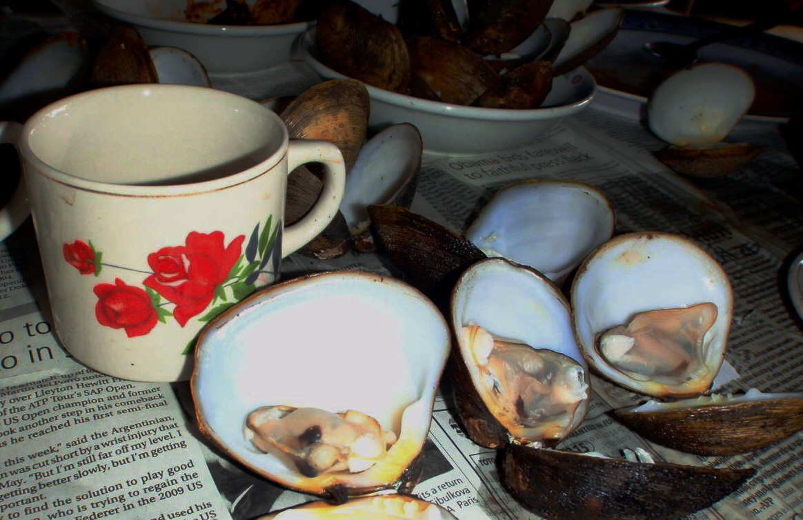 Lets fish! Feel it...: lukan & UG