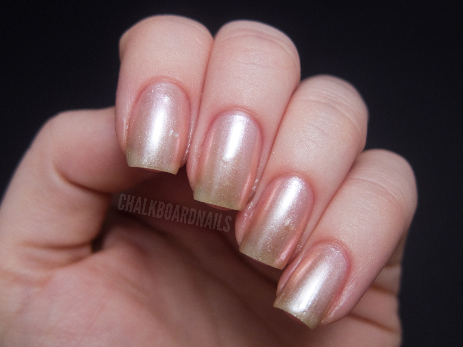 Lac Attack Wild Thing Collection | Chalkboard Nails | Phoenix, Arizona ...