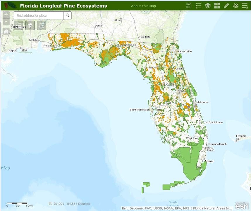 FNAI News & Notes: Map of the Month: Longleaf Pine Ecosystems