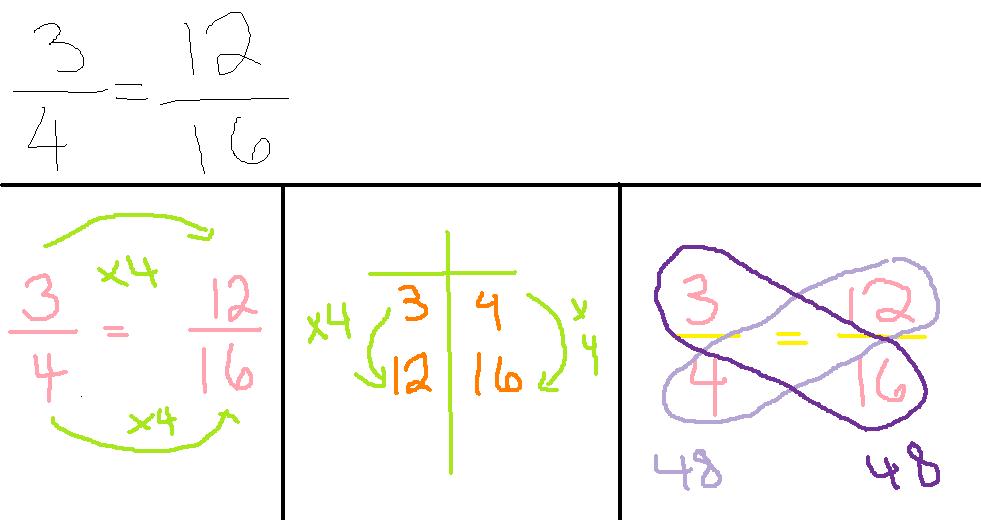 873 Math Blog (2012): Roselle's Proportion Post