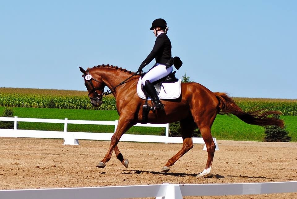 The Feral Red Horse: Canter Along, Pond: Ride 1