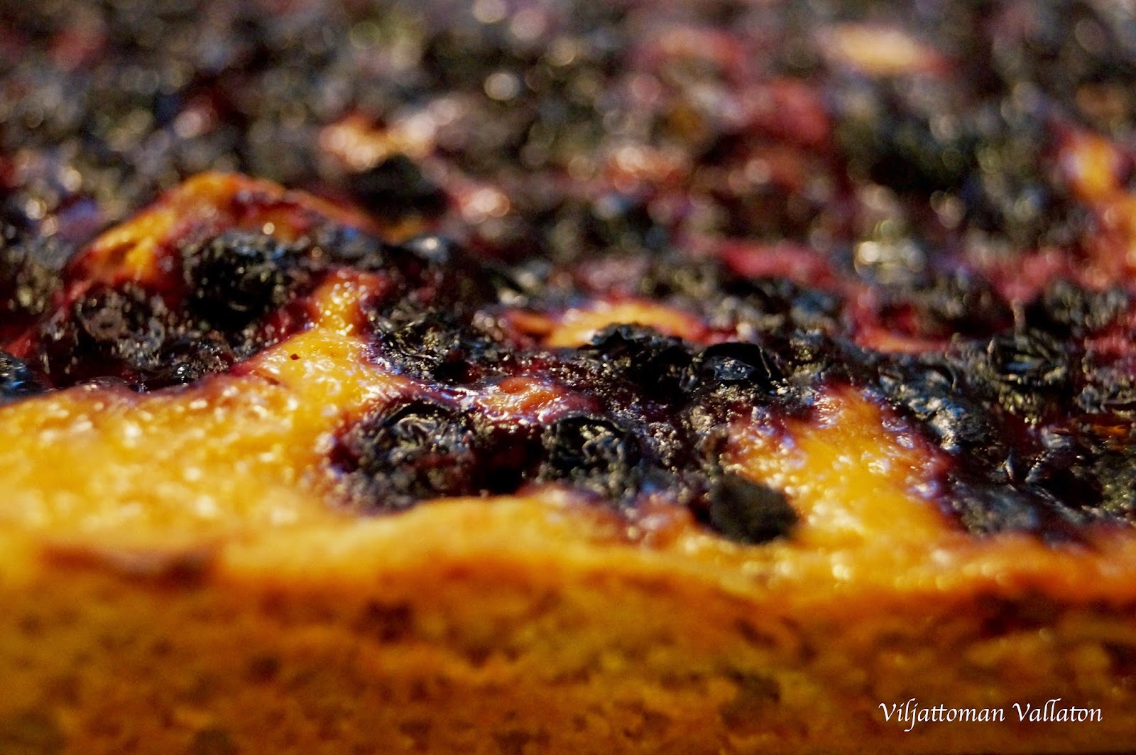 Viljattoman Vallaton: Viljaton mustikkapiirakka