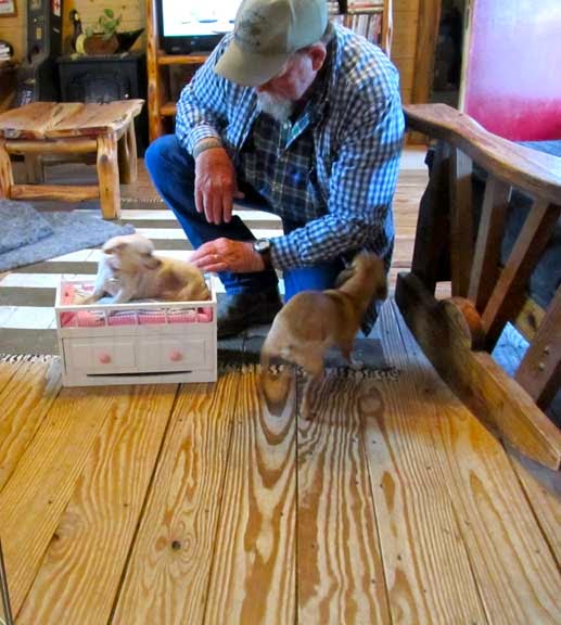 cousin nancy: Every Picture Tells A Story!