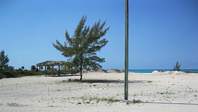 Bimini Sands HomeOwner: Bimini Sands HomeOwner - Infinity Pool ... the ...