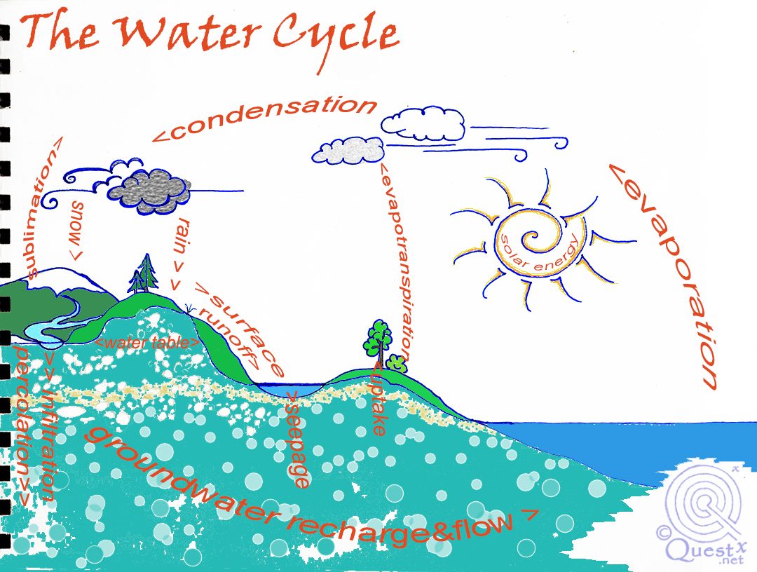 QuestX: Water Cycle #3 (complete!) > National Water Week (April 10- 16)