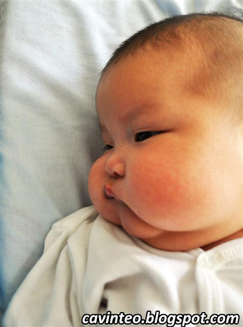 Entree Kibbles: Invasion of The Bulldog-Cheeks Baby