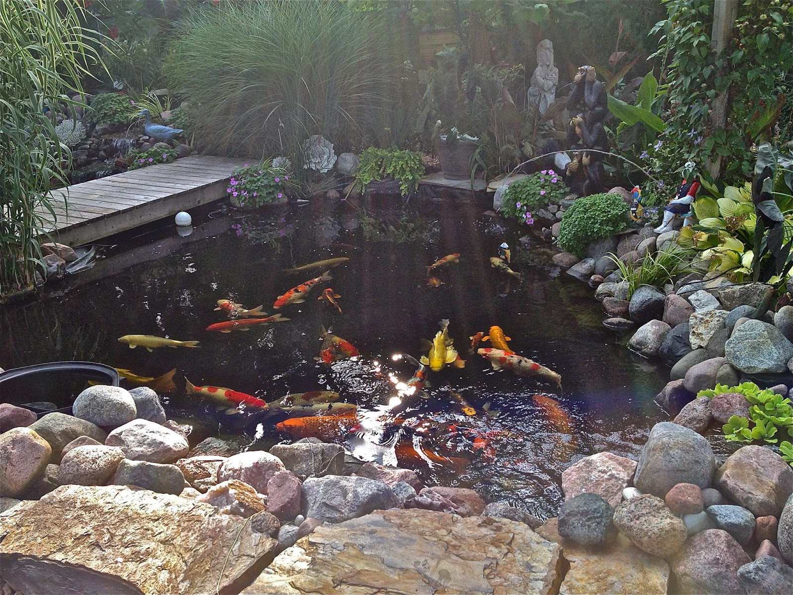 Anoxic Filtration System: Anoxic Filter build from George and Gillian ...