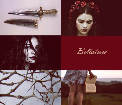 Camminando Tra le Pagine: BLOG TOUR LEGGERE ITALIANO: BEAUTY AND THE ...