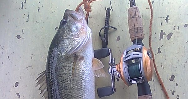 Hibiki Fishing: Lake Lumot Laguna