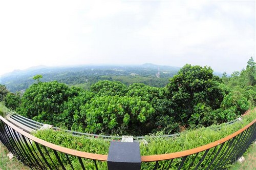 Kithul Kanda The Mountain Resort, Meepe