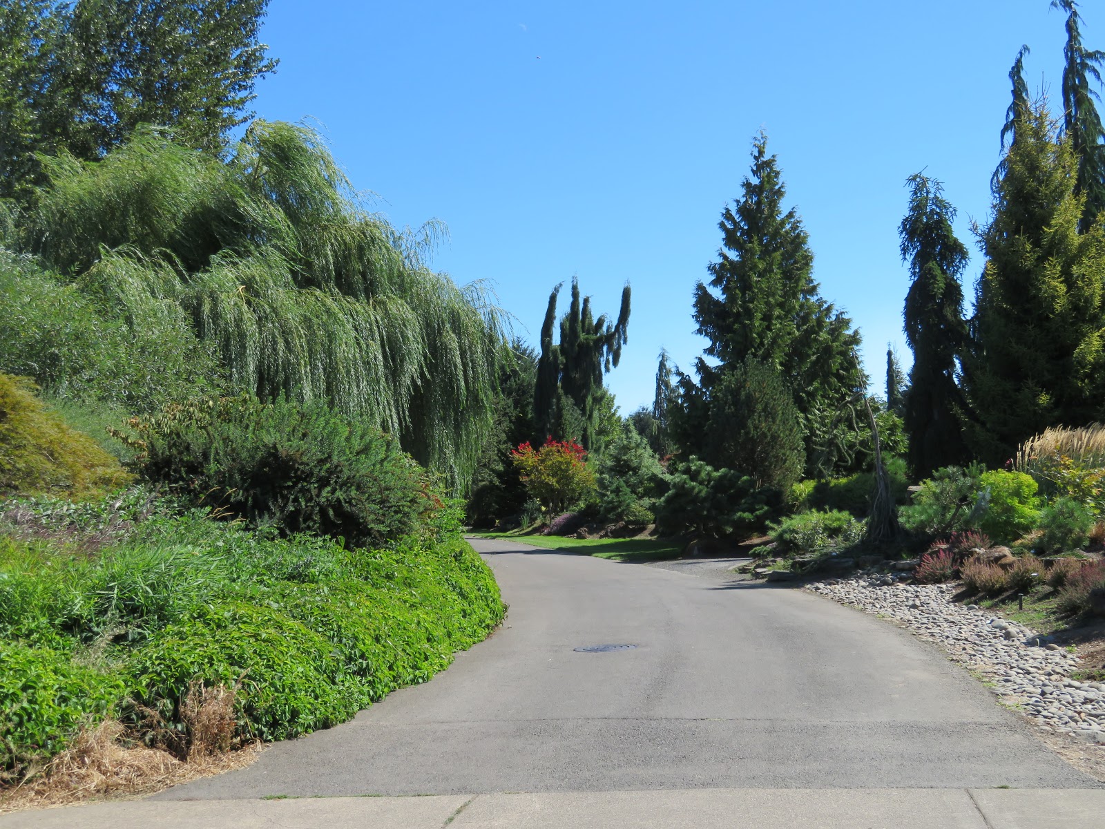 Let's Go! The Oregon Garden