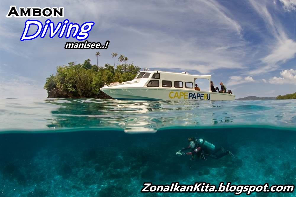 Diving Ambon | Malioboro