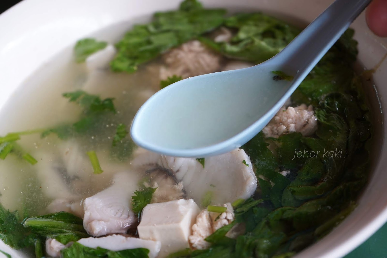 Which is the Most Popular Fish Soup Stall @ Maxwell Food Centre? Yi Jia ...