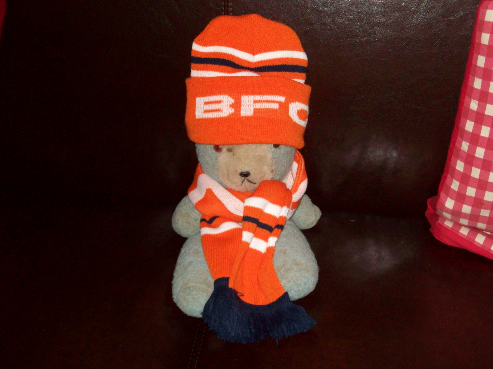 Down but never out - Blue Ted is the Great Survivor ~ A Dead Good Blog