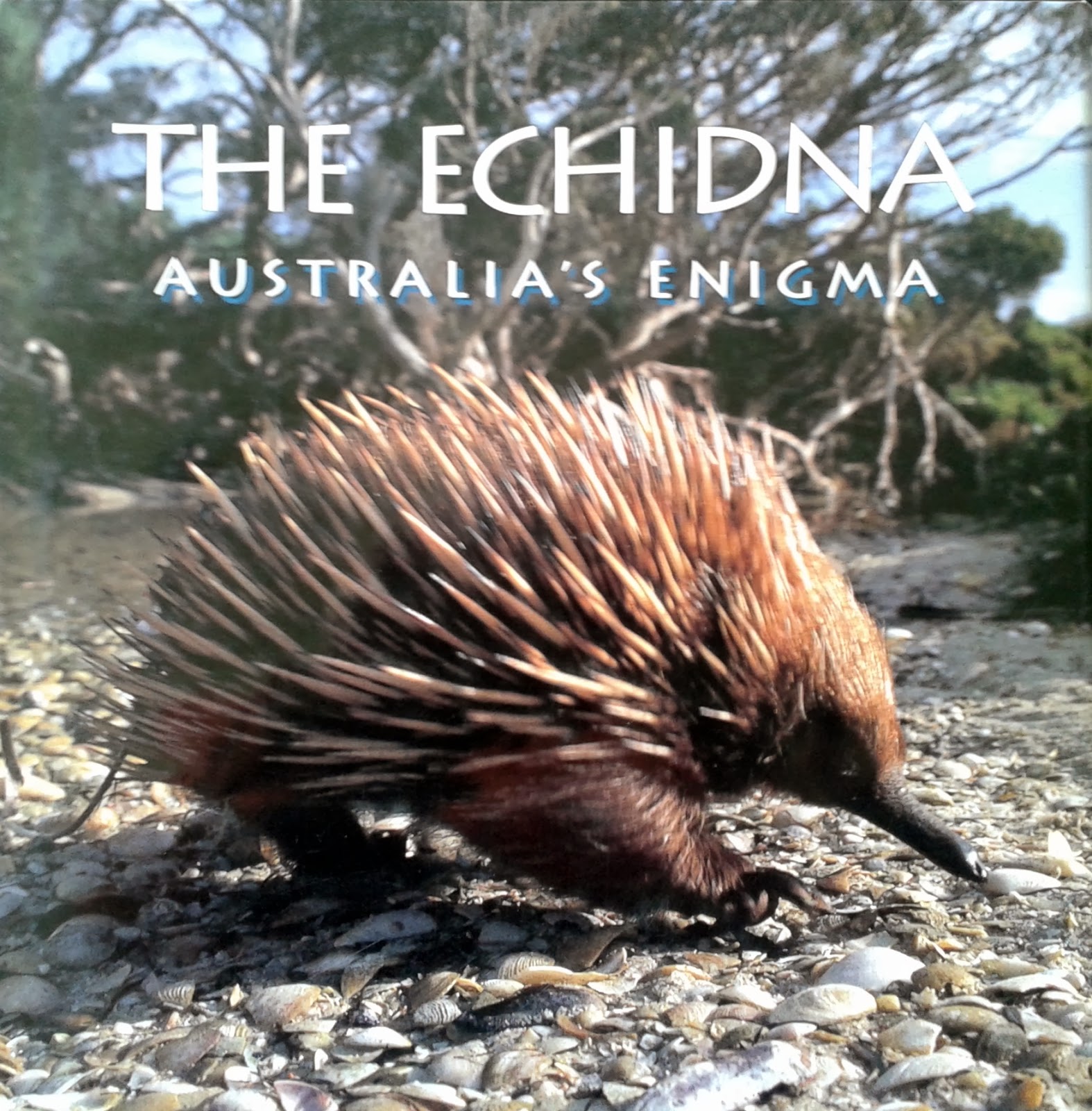 Huc & Gabet: The Echidna: Australia’s Enigma by Dr. Peggy Rismiller.