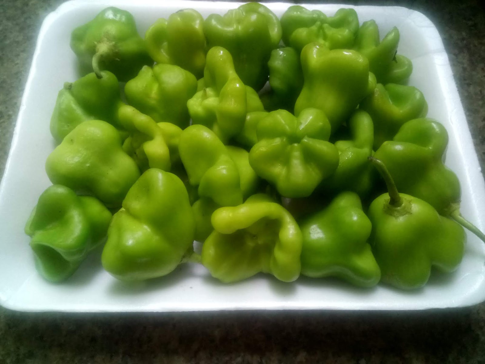 Receitas vegetarianas e veganas: Salada de pimenta cambuci