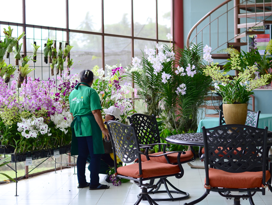 DAY TOUR AT SUL ORCHIDS FARM DAVAO - Woman Elan Vital | Davao Lifestyle ...