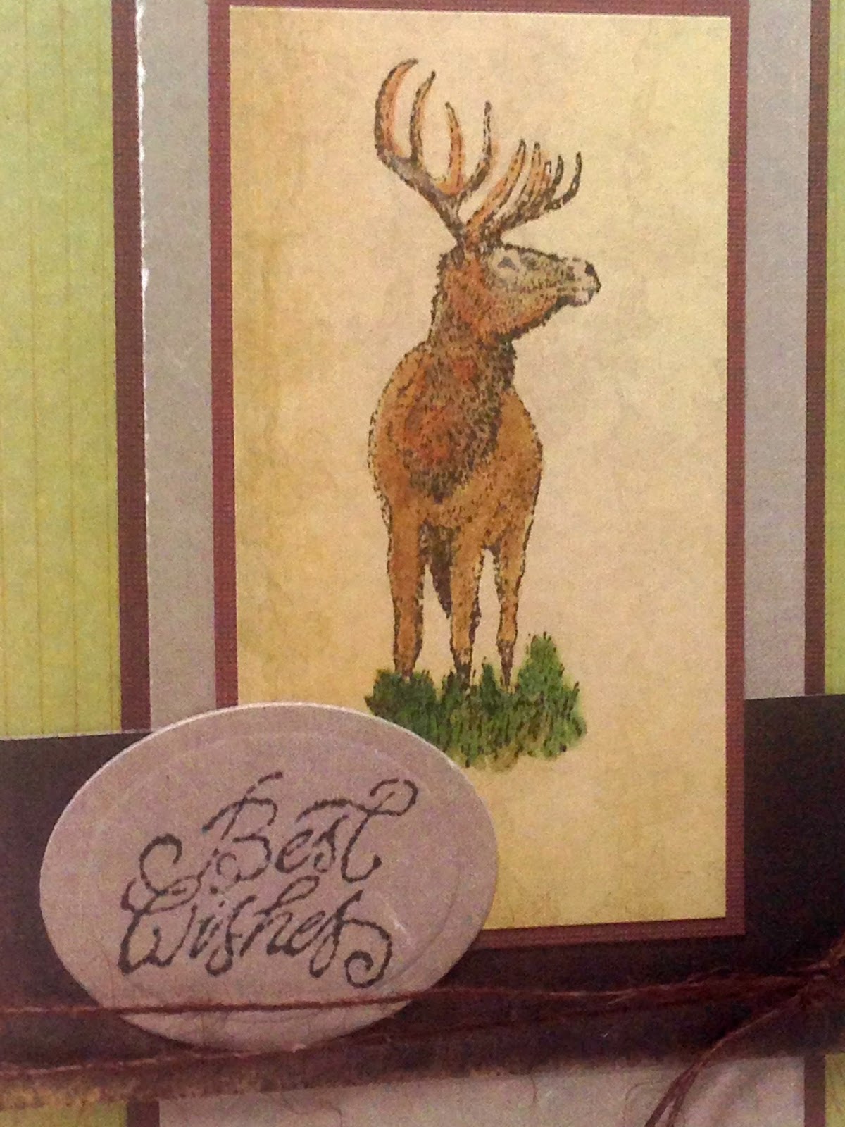 Amy's Creative Pursuits: A Masculine Elk Card