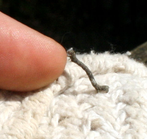 The Öko Box: Teeny Tiny Inch Worm