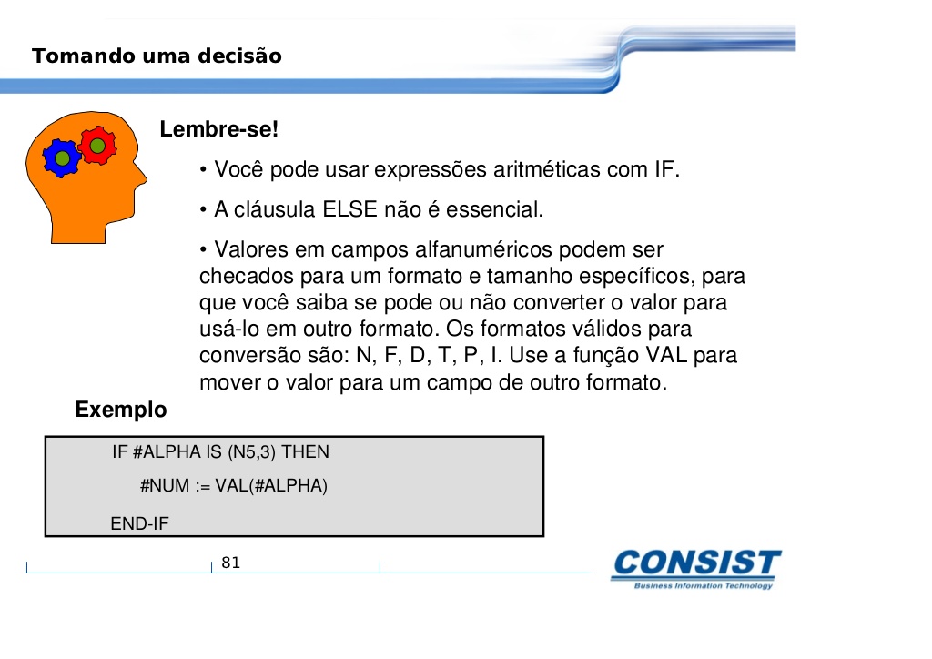 Fundamentos em Natural ~ Adabas Mainframe