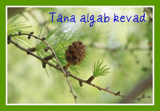 merliklass2: Kevade algus