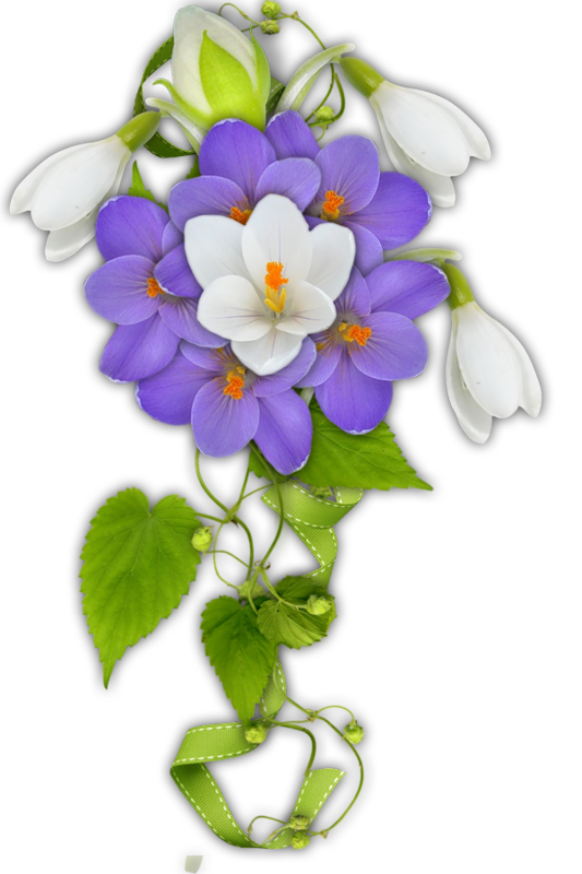 ForgetMeNot: Cluster spring frames