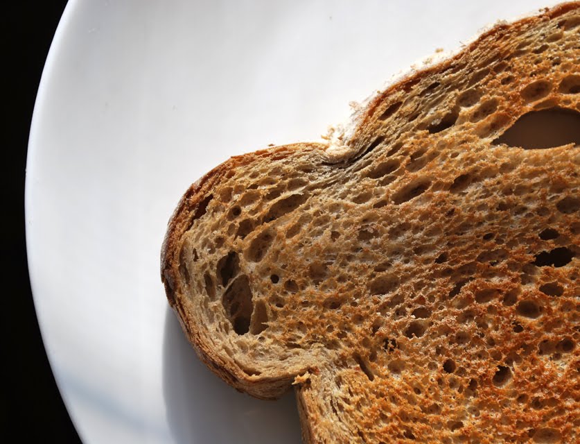 Myrtle & Eunice: Toasty