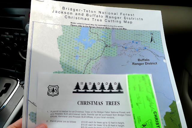 Mountain Living Adventures: Cutting Down Our Own Christmas Tree