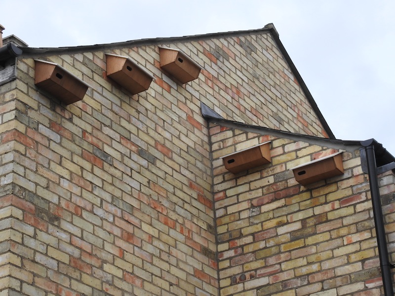 Action for Swifts: First deployment of Model 30 Swift boxes