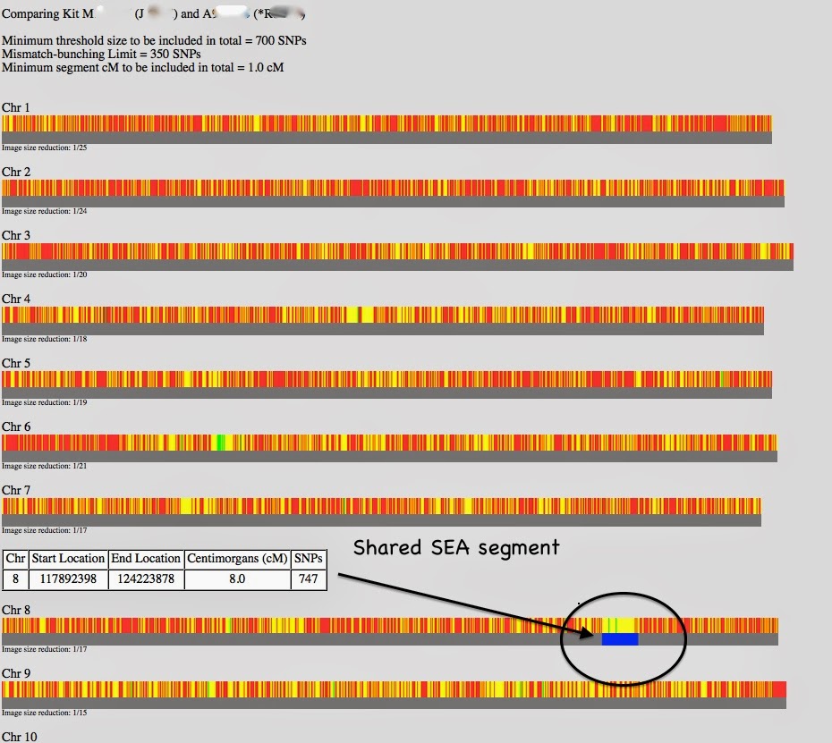 Roots & Recombinant DNA: Ethnicity Chromosome Mapping & Determining ...
