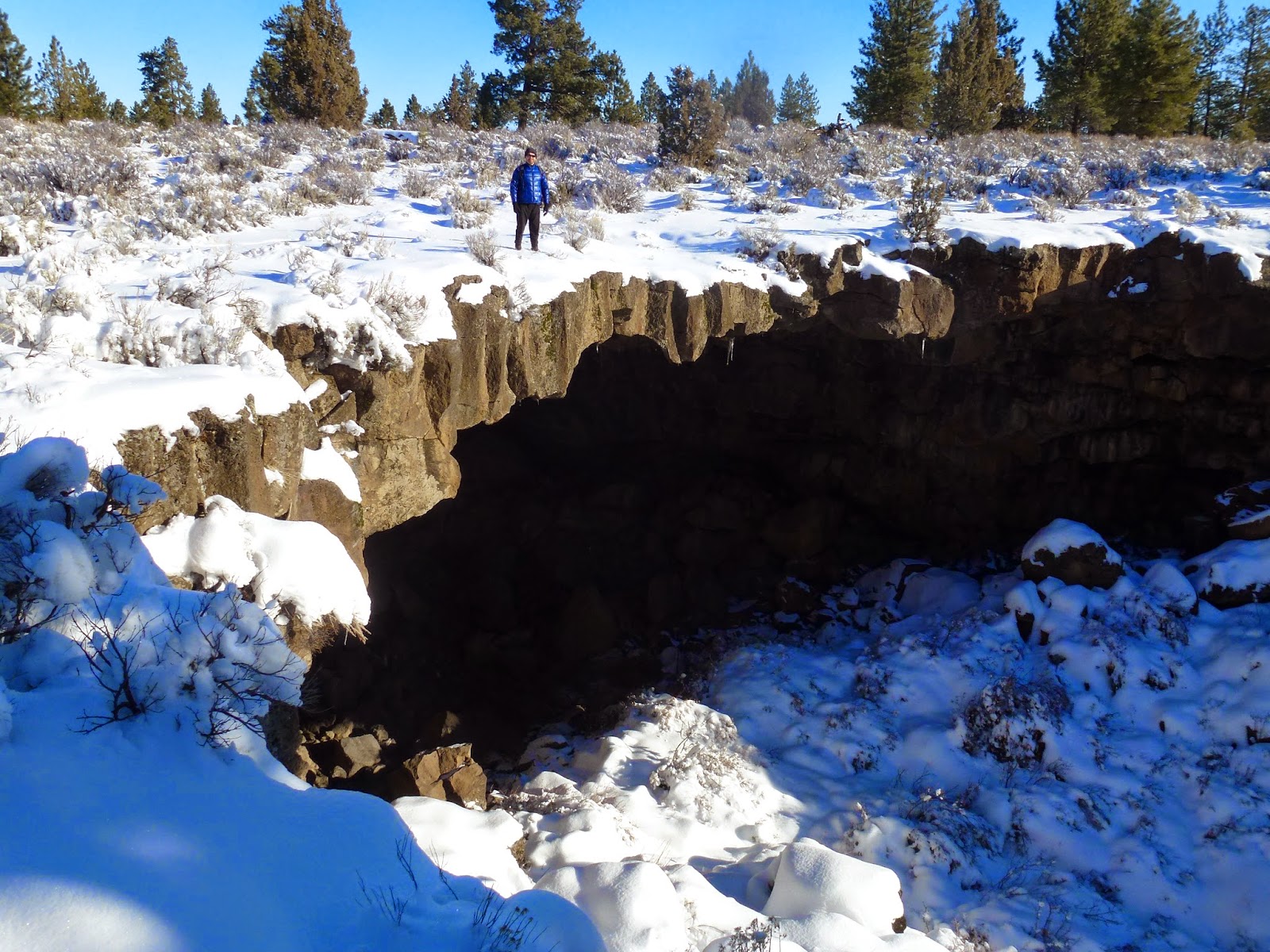 Bob DenOuden's Pacific Northwesterner: Hidden Forest Cave