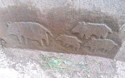 Definede Domuz İşareti Ne Anlama Gelir