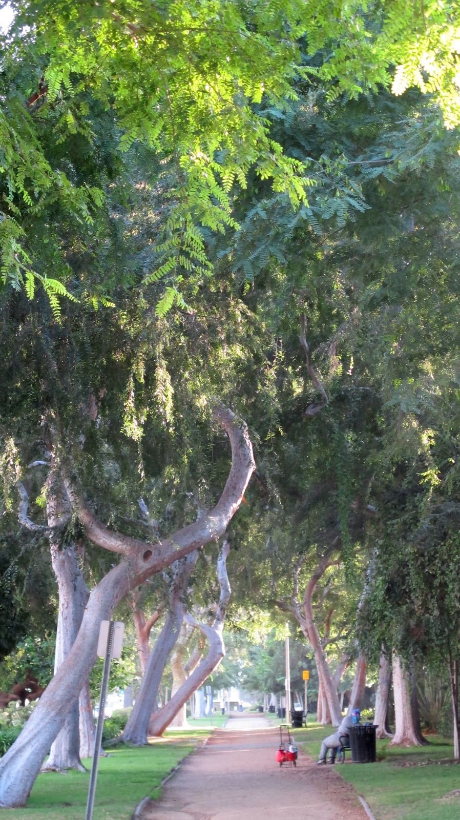 365 los angeles: #238: Beverly Gardens Park