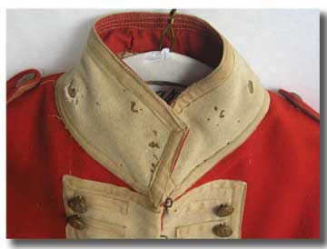 Garment Care: Clothing Insect Damage