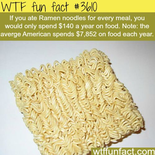 50 RANDOM WTF FACTS IN YOUR FACE THAT WILL FRY YOUR BRAIN | Amazing WTF ...