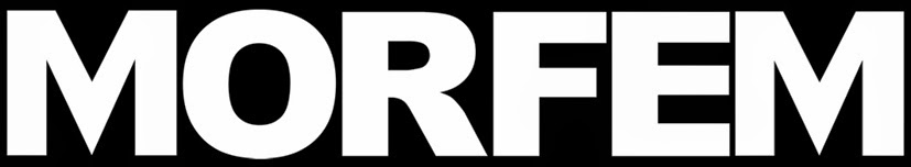 AQIL FADHLI AMURA: MORFEM