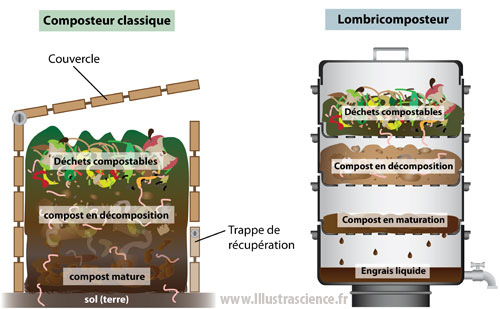 Association Khamsa: Khamsa a la main verte